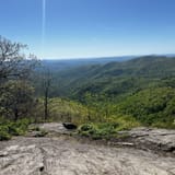Duncan Ridge Trail, Georgia - 71 Reviews, Map | AllTrails