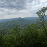 Duncan Ridge Trail, Georgia - 71 Reviews, Map | AllTrails
