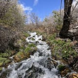 Cascade Springs Interpretive Trail, Utah - 498 Reviews, Map | AllTrails