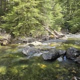Barclay Lake Trail, Washington - 1,871 Reviews, Map | AllTrails