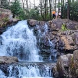 Hawk Falls Trail, Pennsylvania - 2,876 Reviews, Map | AllTrails