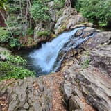 Hawk Falls Trail, Pennsylvania - 2,876 Reviews, Map | AllTrails