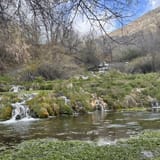 Cascade Springs Interpretive Trail, Utah - 498 Reviews, Map | AllTrails