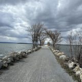 Colchester Causeway Trail, Vermont - 909 Reviews, Map | AllTrails