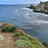 Point Lobos Loop, California - 7,588 Reviews, Map | AllTrails