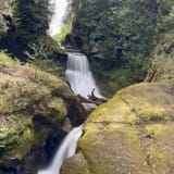 Racehorse Falls Trail, Washington - 433 Reviews, Map | AllTrails