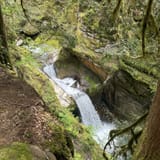 Racehorse Falls Trail, Washington - 433 Reviews, Map | AllTrails