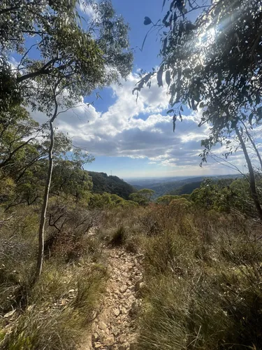 Best Historic Site Trails in Horsnell Gully Conservation Park | AllTrails