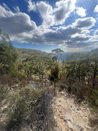 Best Historic Site Trails in Horsnell Gully Conservation Park | AllTrails