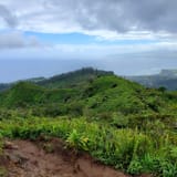 Waihe'e Ridge Trail, Maui, Hawaii - 8,640 Reviews, Map | AllTrails