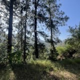 Murphy Ranch Trail, California - 3,859 Reviews, Map | AllTrails