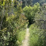 Murphy Ranch Trail, California - 3,859 Reviews, Map | AllTrails