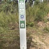 Mt Louisa Walking Track, Queensland, Australia - 231 Reviews, Map ...