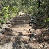 Mt Louisa Walking Track, Queensland, Australia - 231 Reviews, Map ...