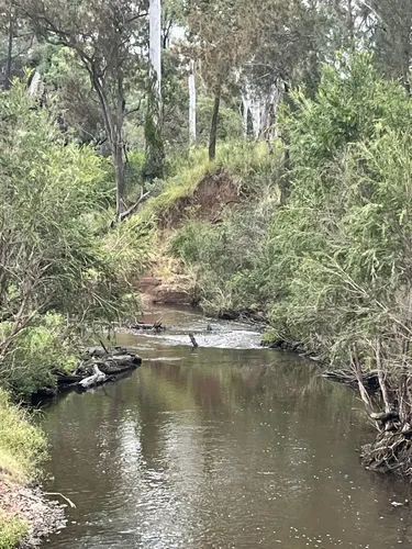 Best Hikes and Trails in Wondai | AllTrails