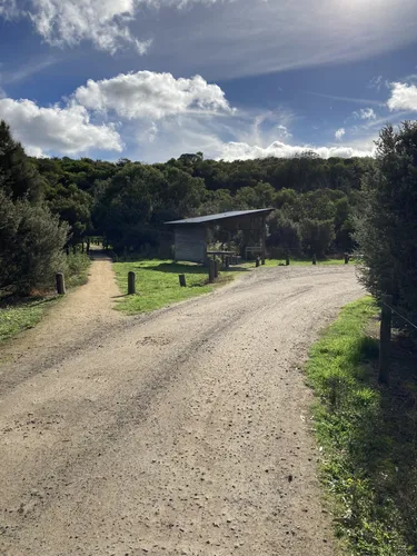 Best River Trails in Cape Otway | AllTrails