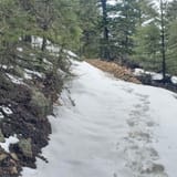 Stultz Trail, Colorado - 121 Reviews, Map | AllTrails