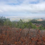 Stultz Trail, Colorado - 121 Reviews, Map | AllTrails