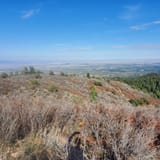 Stultz Trail, Colorado - 121 Reviews, Map | AllTrails