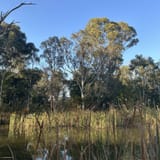 Modderfontein Dam Trail, Gauteng, South Africa - 372 Reviews, Map ...