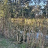 Modderfontein Dam Trail, Gauteng, South Africa - 372 Reviews, Map ...