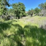 Long Canyon Loop Trail, California - 16 Reviews, Map | AllTrails
