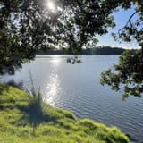 Orakei Basin Walkway, Auckland, New Zealand - 360 Reviews, Map | AllTrails