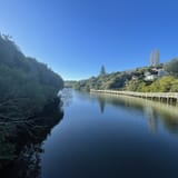 Orakei Basin Walkway, Auckland, New Zealand - 360 Reviews, Map | AllTrails
