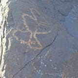 Grimes Point Petroglyphs, Nevada - 72 Reviews, Map | AllTrails