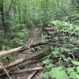 Hone Quarry Waterfall, Virginia - 352 Reviews, Map | AllTrails