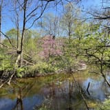 Aman Park Loop, Michigan - 1,309 Reviews, Map | AllTrails