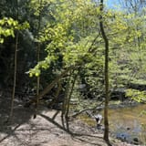 Aman Park Loop, Michigan - 1,503 Reviews, Map | AllTrails