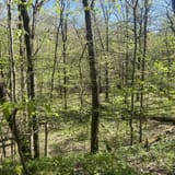 Aman Park Loop, Michigan - 1,503 Reviews, Map | AllTrails