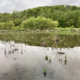 Lake Redman Trail 5 Loop, Pennsylvania - 202 Reviews, Map | AllTrails