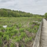 Lake Redman Trail 5 Loop, Pennsylvania - 202 Reviews, Map | AllTrails