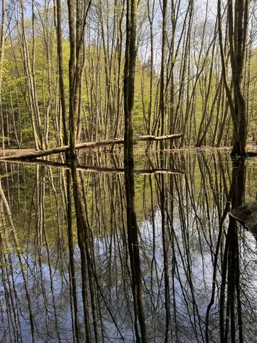 Best Camping Trails in Genarp | AllTrails