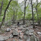 Pulpit Rock, Pennsylvania - 2,323 Reviews, Map | AllTrails