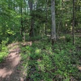 Bacon Ridge Trail: Phase 3, Maryland - 2,308 Reviews, Map | AllTrails