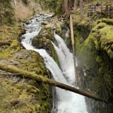 Sol Duc Falls Trail, Washington - 4,638 Reviews, Map | AllTrails
