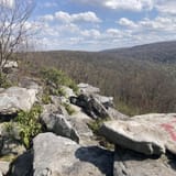 Wolf Rocks Trail, Pennsylvania - 1,407 Reviews, Map | AllTrails