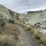 Blue Basin Overlook Trail, Oregon - 393 Reviews, Map | AllTrails
