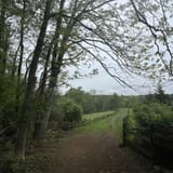 Okehocking Preserve Loop, Pennsylvania - 1,044 Reviews, Map | AllTrails