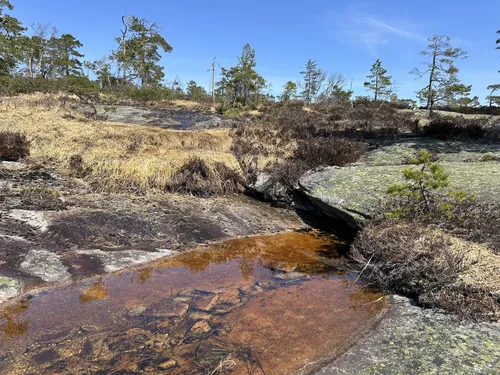 Best Lake Trails in Solhomfjell and Kvenntjønnane Nature Reserve ...