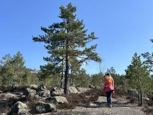 Best Lake Trails in Solhomfjell and Kvenntjønnane Nature Reserve ...
