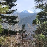 Mount Herman Trail, Colorado - 1,709 Reviews, Map | AllTrails