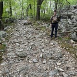 Pulpit Rock, Pennsylvania - 2,399 Reviews, Map | AllTrails