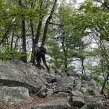 Pulpit Rock, Pennsylvania - 2,399 Reviews, Map | AllTrails