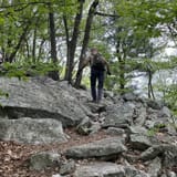 Pulpit Rock, Pennsylvania - 2,399 Reviews, Map | AllTrails