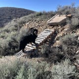 Round Valley, Utah - 133 Reviews, Map | AllTrails