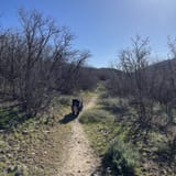 Round Valley, Utah - 143 Reviews, Map | AllTrails